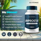Uriprostat for men's wellness