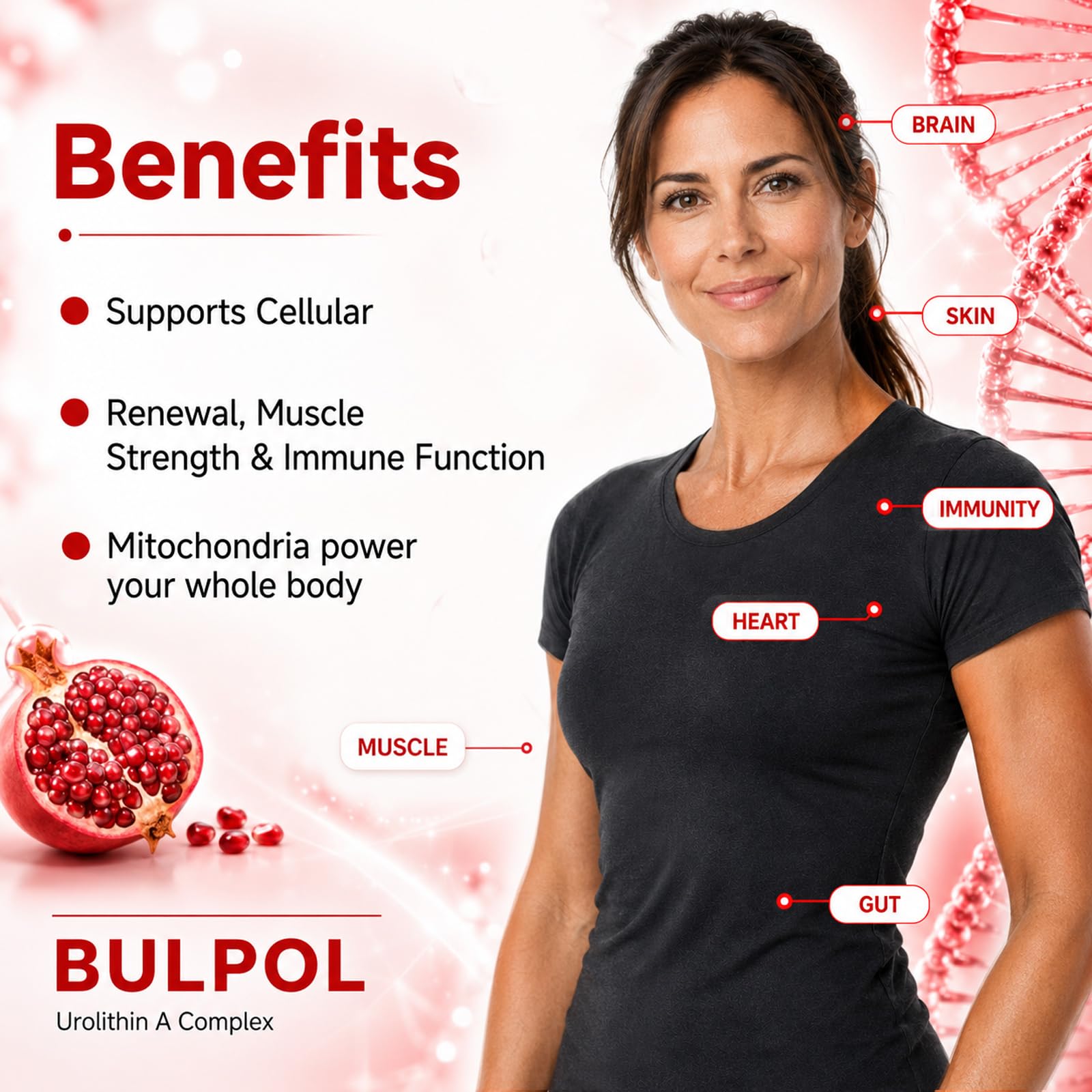 Urolithin A 2275 mg for muscle support