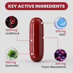 Urolithin A antioxidant health benefits