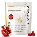 Urolithin A cellular longevity supplement