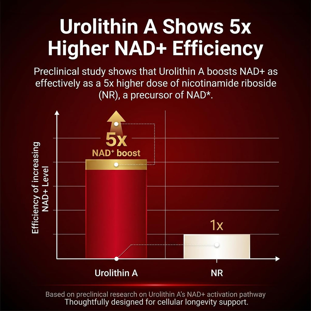 Urolithin A enhances cellular health