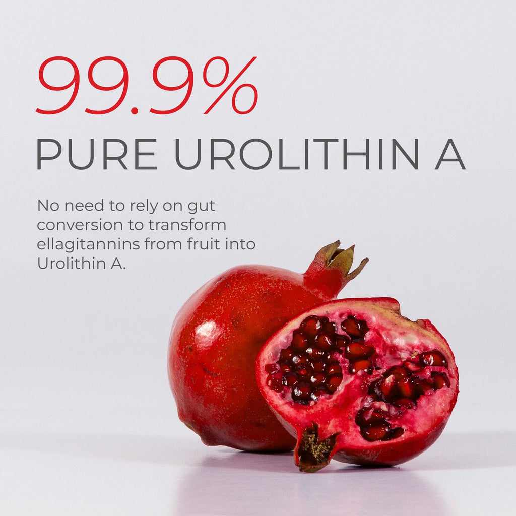 Urolithin A for active lifestyle