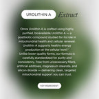 Urolithin A for cellular health