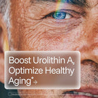 Urolithin A for cellular health