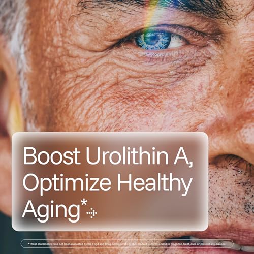 Urolithin A for cellular health