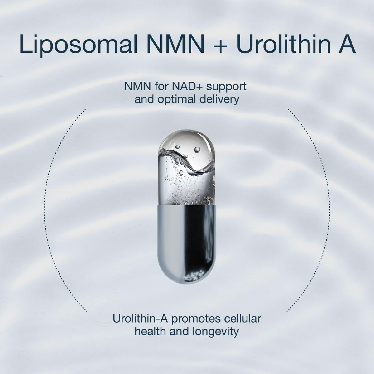 Urolithin A for cellular health