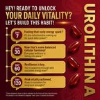 Urolithin A for energy support