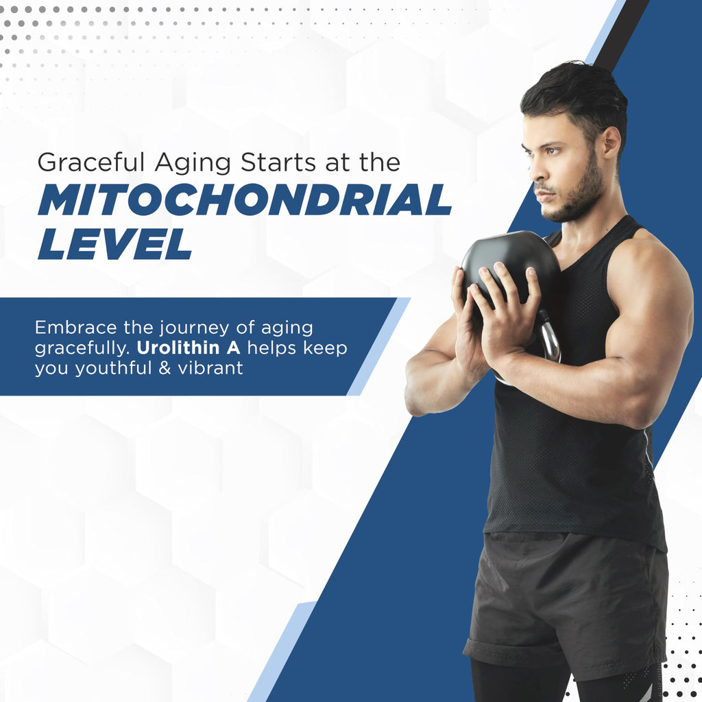 urolithin A for improved endurance