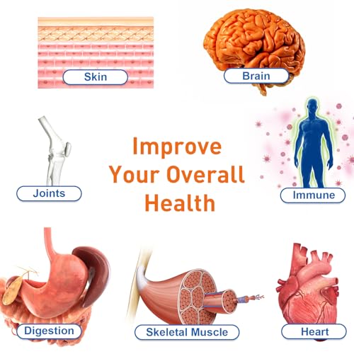 Urolithin A for vitality and strength