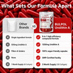 Urolithin A multivitamins for wellness