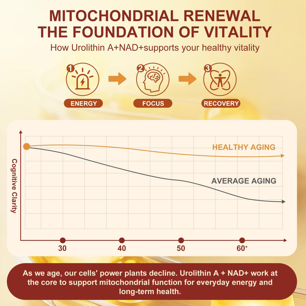 Urolithin A promotes cellular rejuvenation