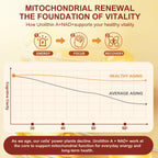 Urolithin A promotes cellular rejuvenation