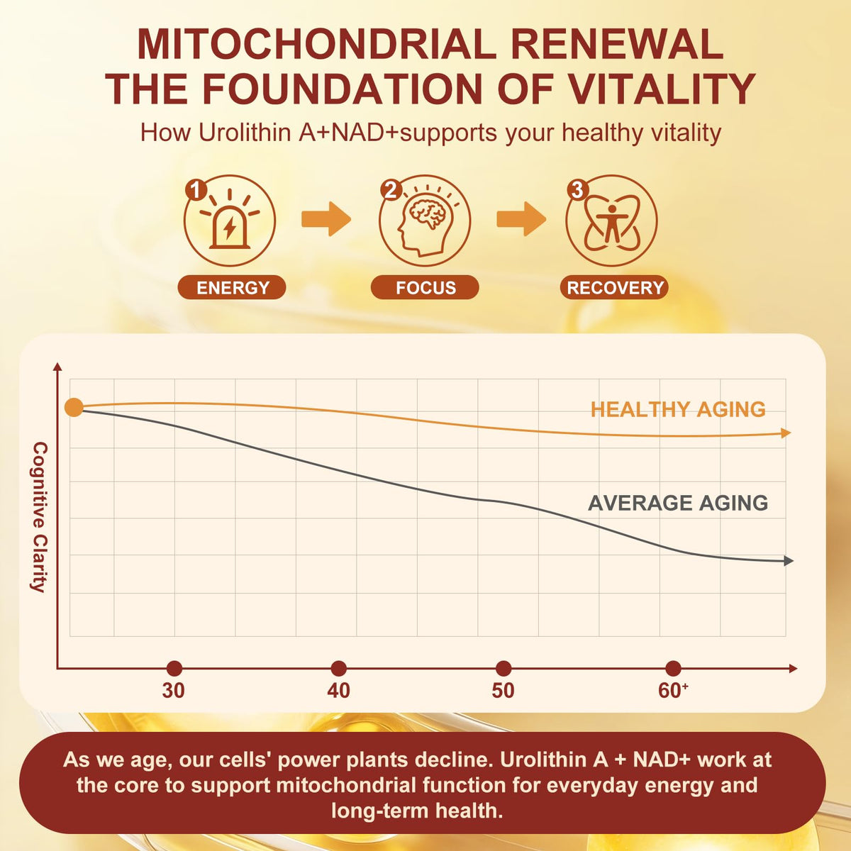 Urolithin A promotes cellular rejuvenation