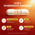 Urolithin A supplement for cellular health