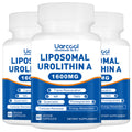 Urolithin A supplement for energy