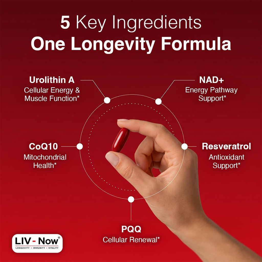 Urolithin A supports muscle recovery
