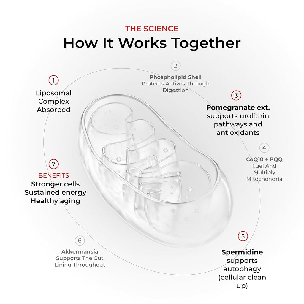 Urolithin Pro+ for cellular health