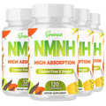 Ursinquil NMNH 500 mg tablets