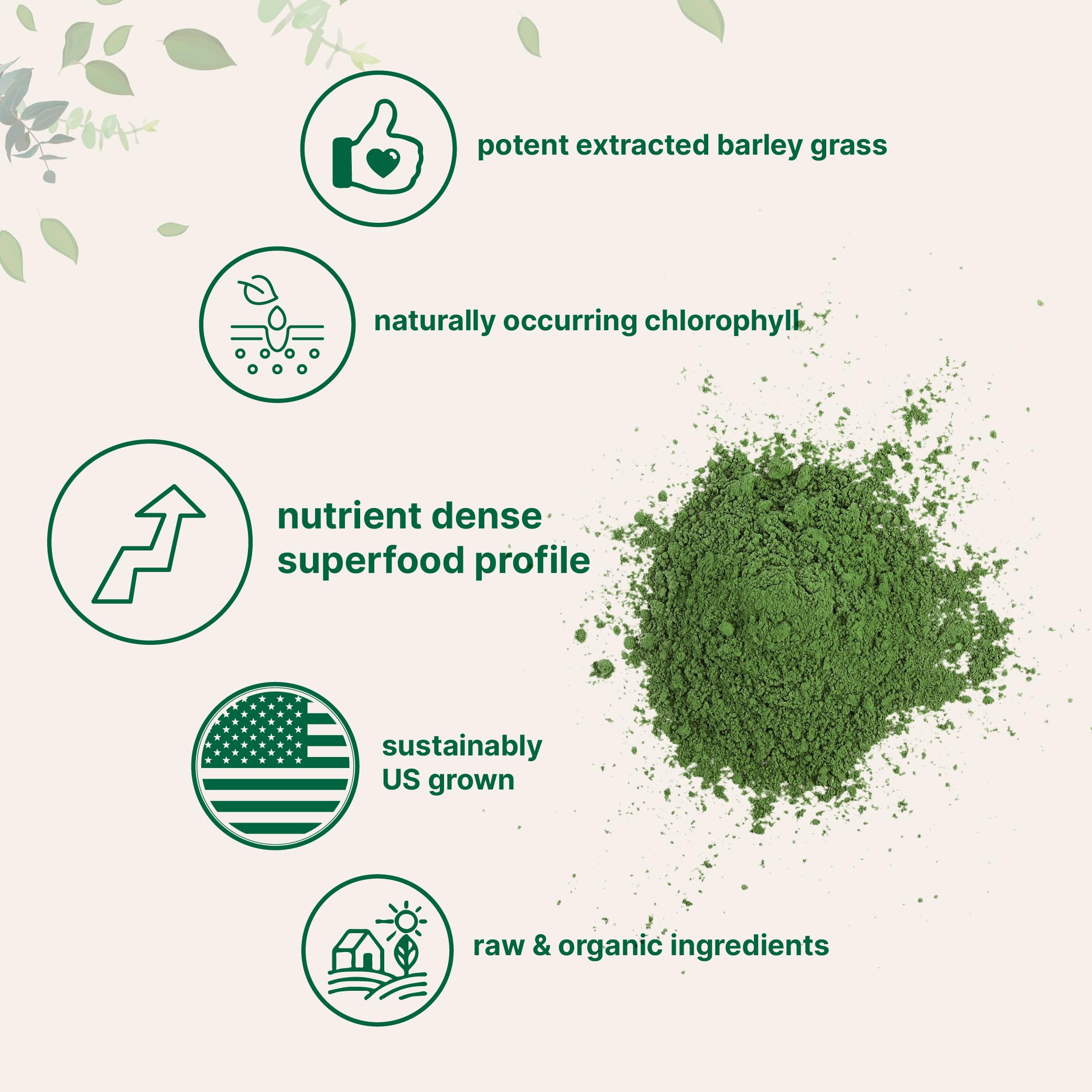 US grown superfood powder