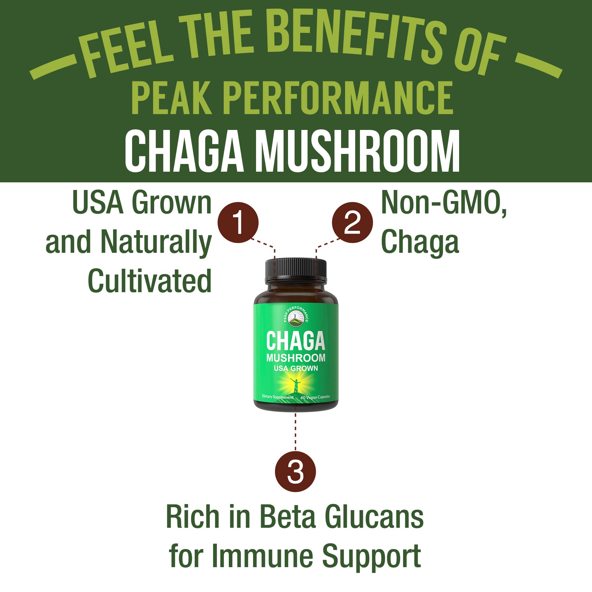 USA grown chaga mushrooms in capsules