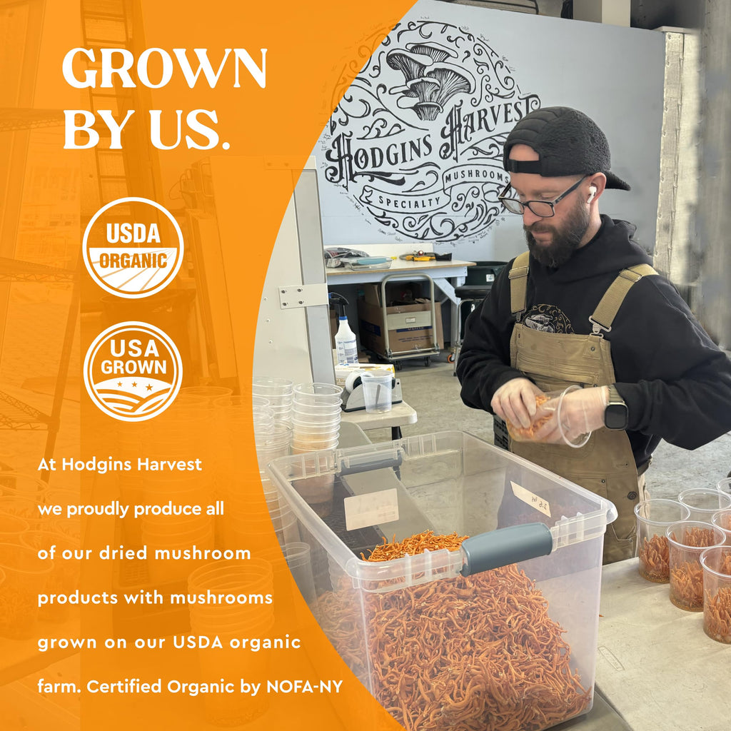 USA-grown cordyceps mushrooms for wellness