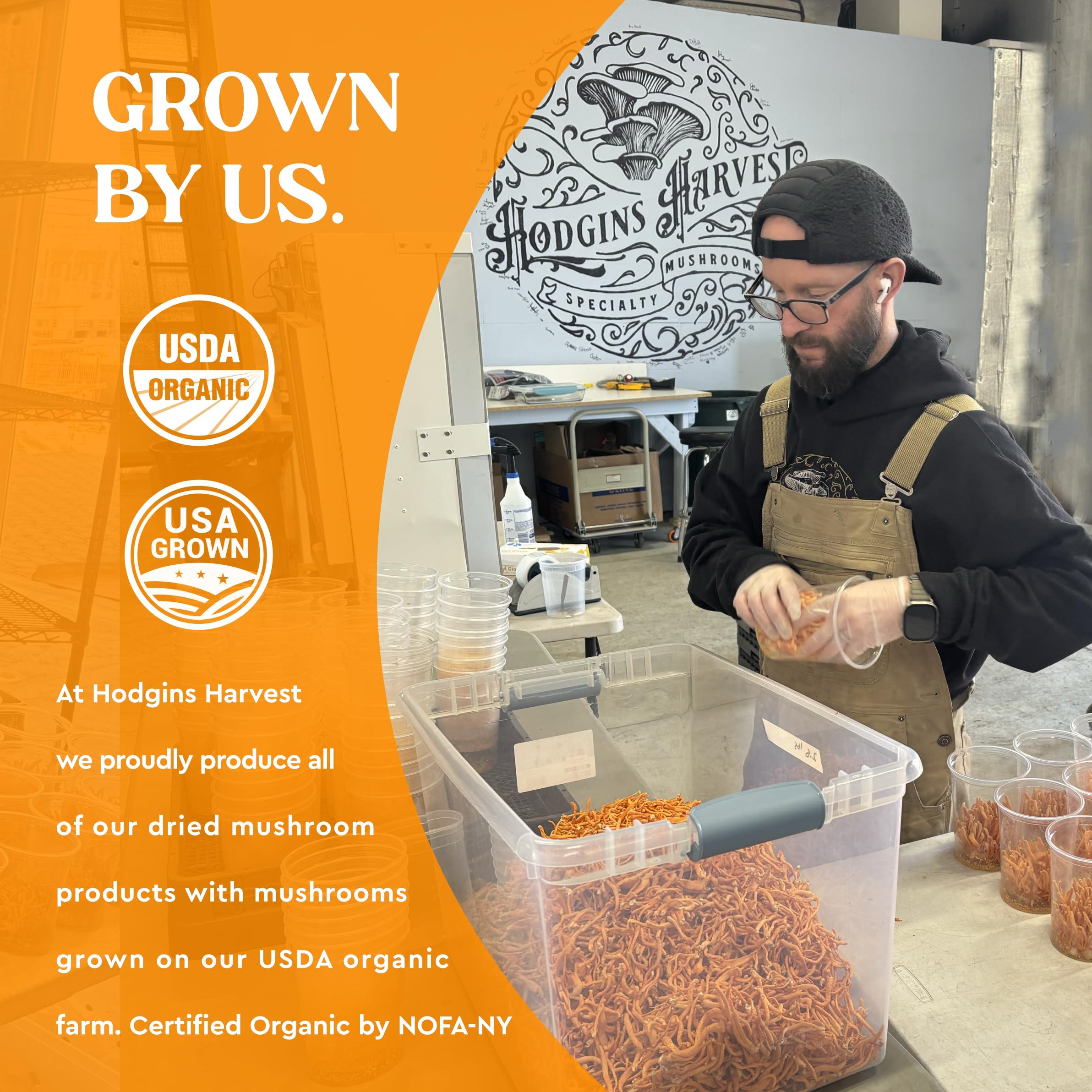 USA-grown cordyceps mushrooms for wellness