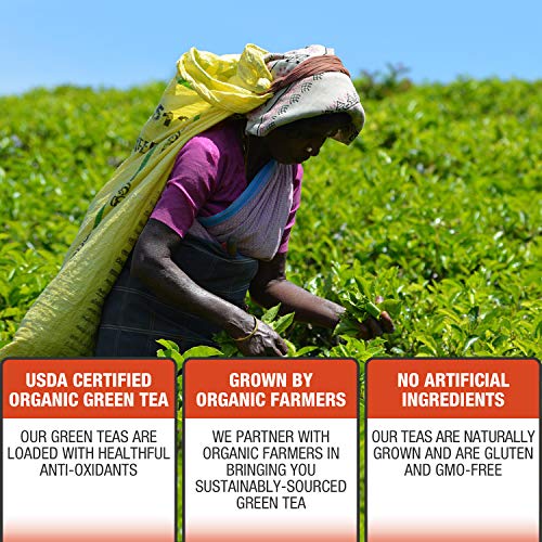 USDA certified organic green tea