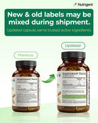 USDA certified organic lecithin