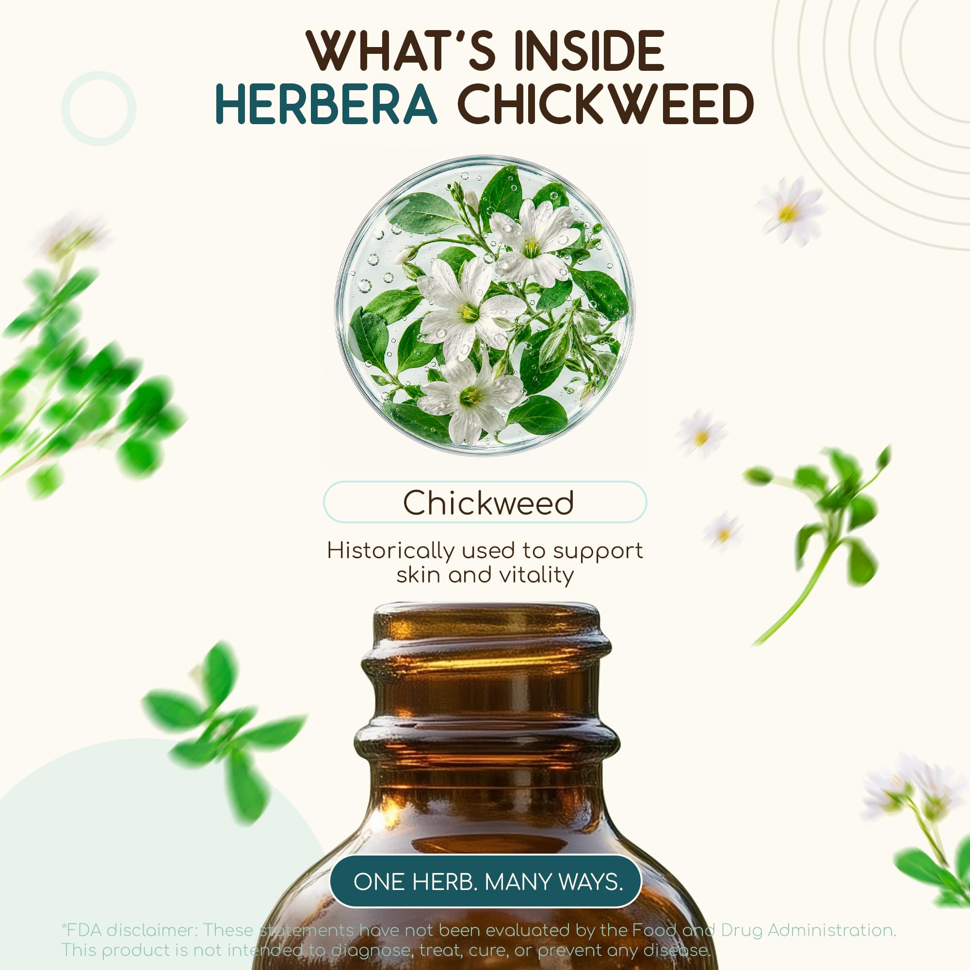 USDA echinacea for daily use