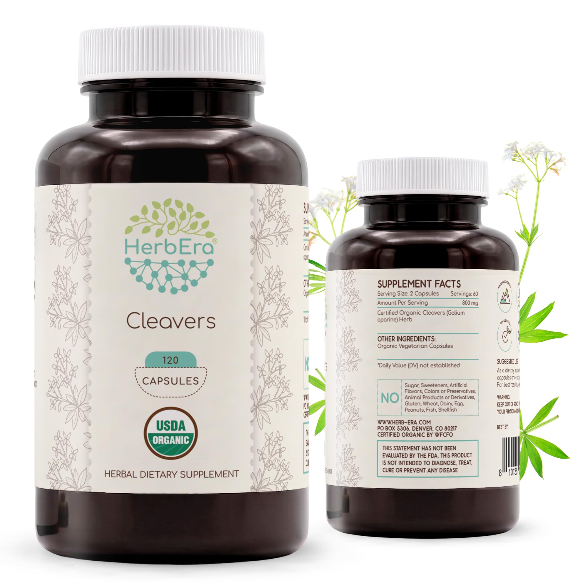 USDA organic echinacea capsules