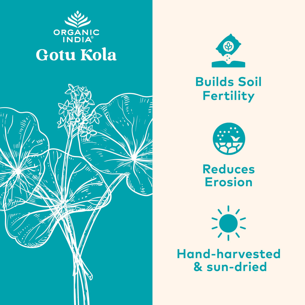 USDA organic gotu kola benefits