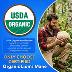 USDA organic lion's mane supplement
