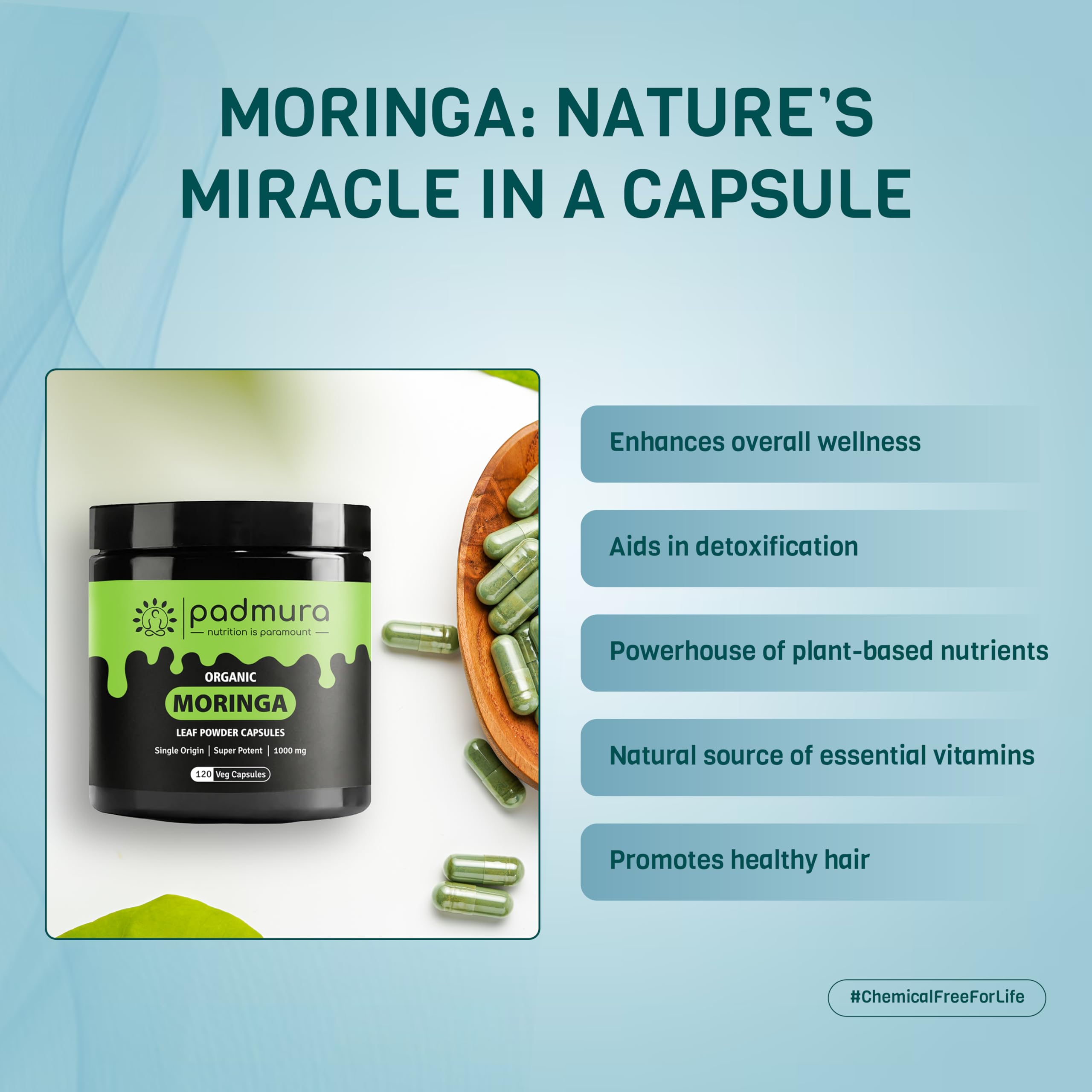 USDA organic moringa for daily nutrition