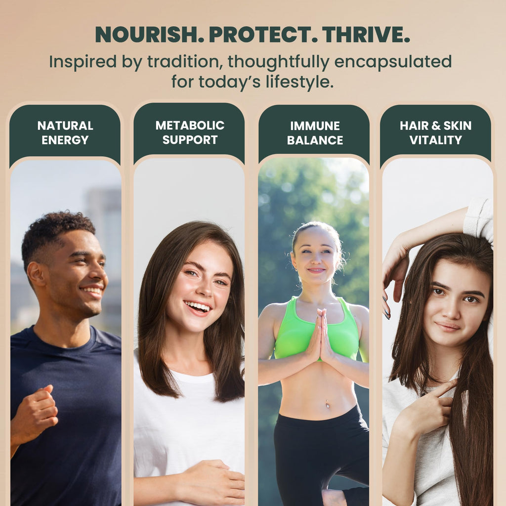 USDA organic moringa for nutrition