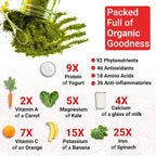USDA organic moringa for vitality
