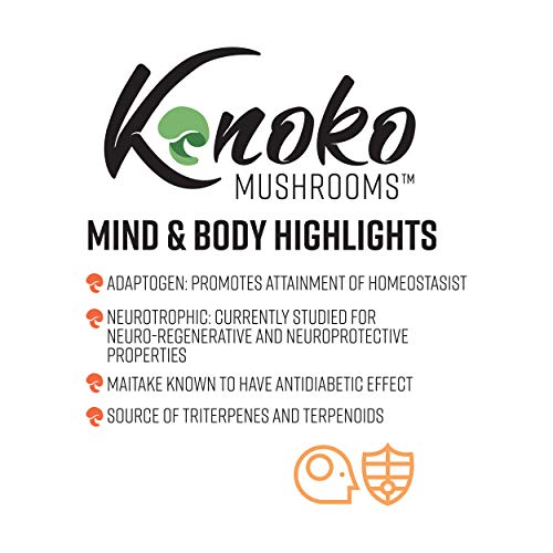USDA organic mushroom powder blend