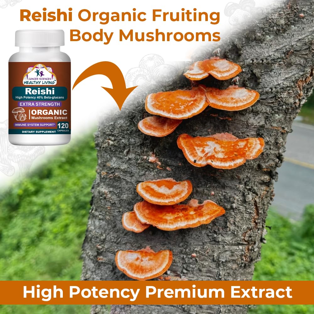 USDA organic mushroom supplement