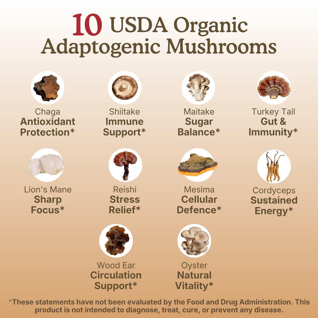 USDA organic mushrooms for wellness