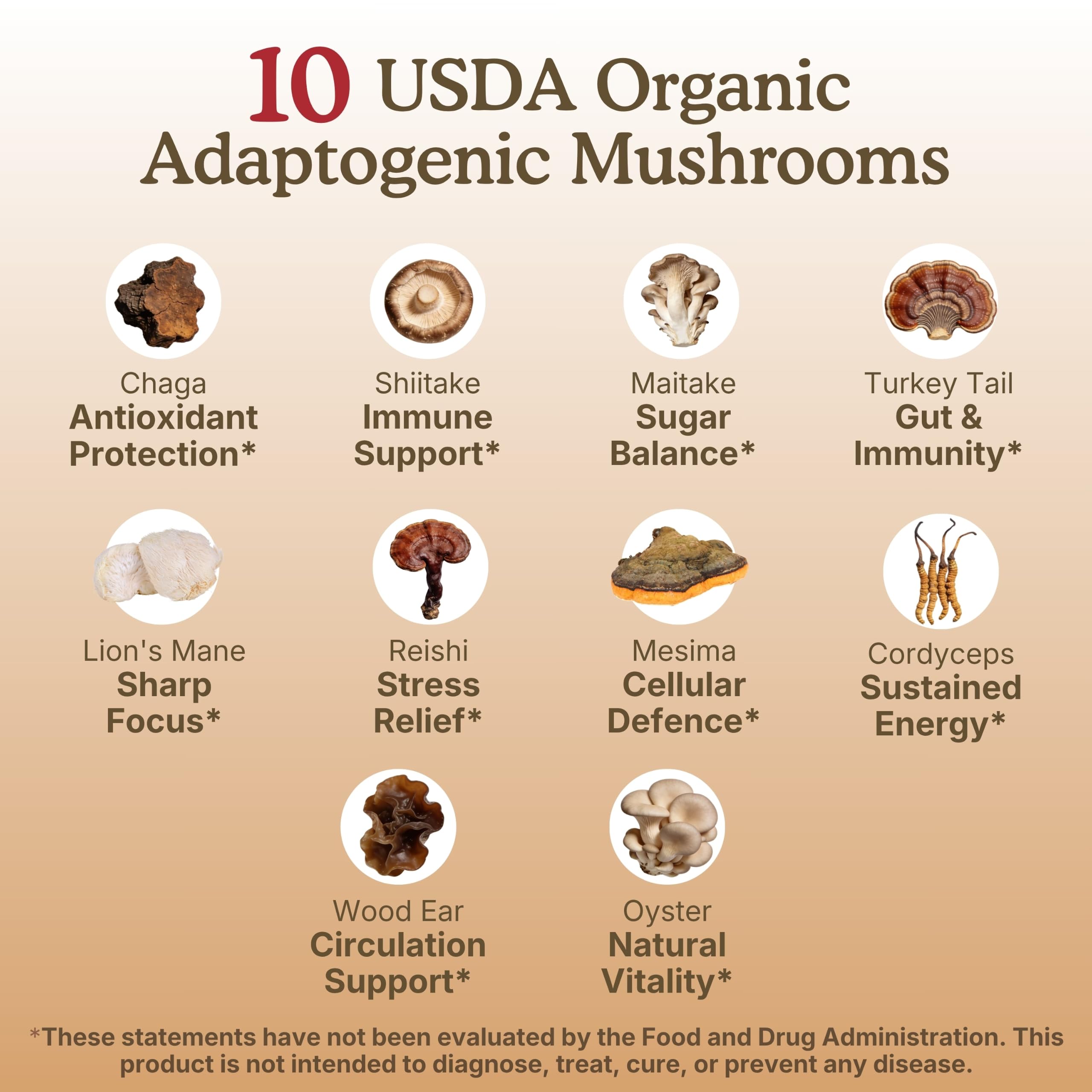 USDA organic mushrooms for wellness