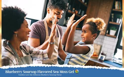 USDA organic sea moss gel