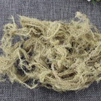 usnea barbata herbal tea benefits