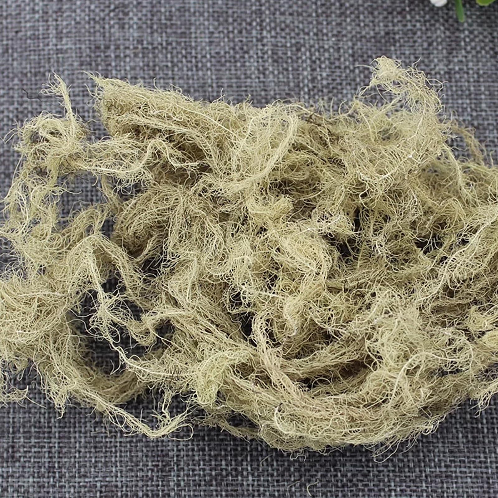 usnea barbata herbal tea benefits