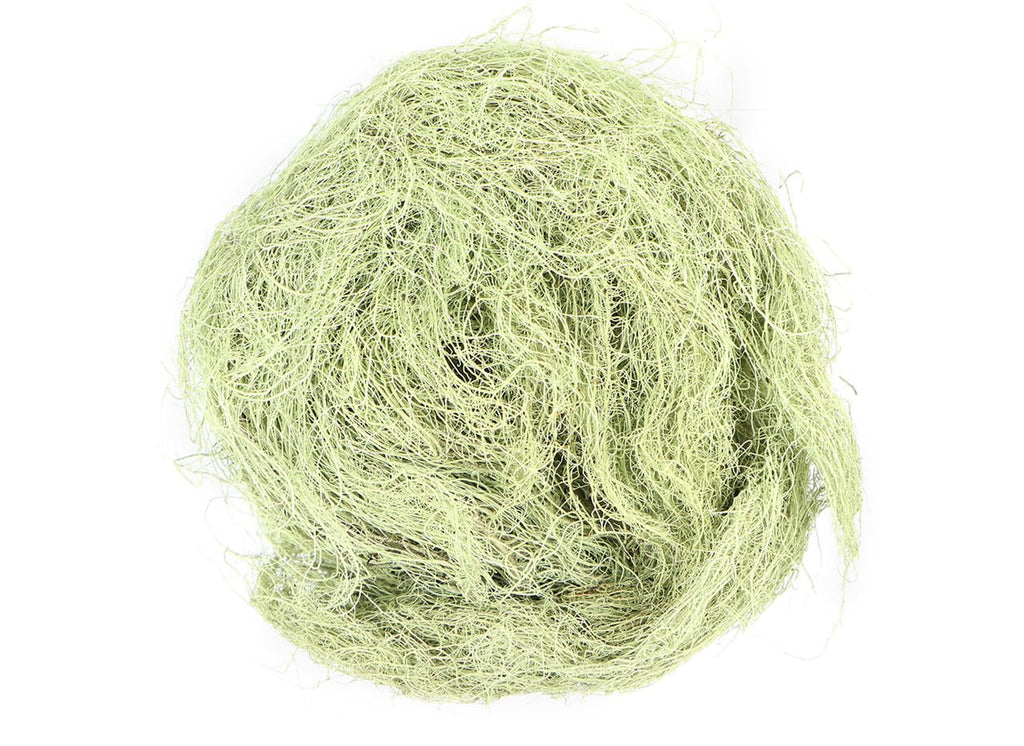 Usnea lichen dried herb for tea
