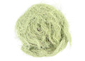 Usnea lichen dried herb for tea