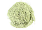 Usnea lichen dried herb for tea