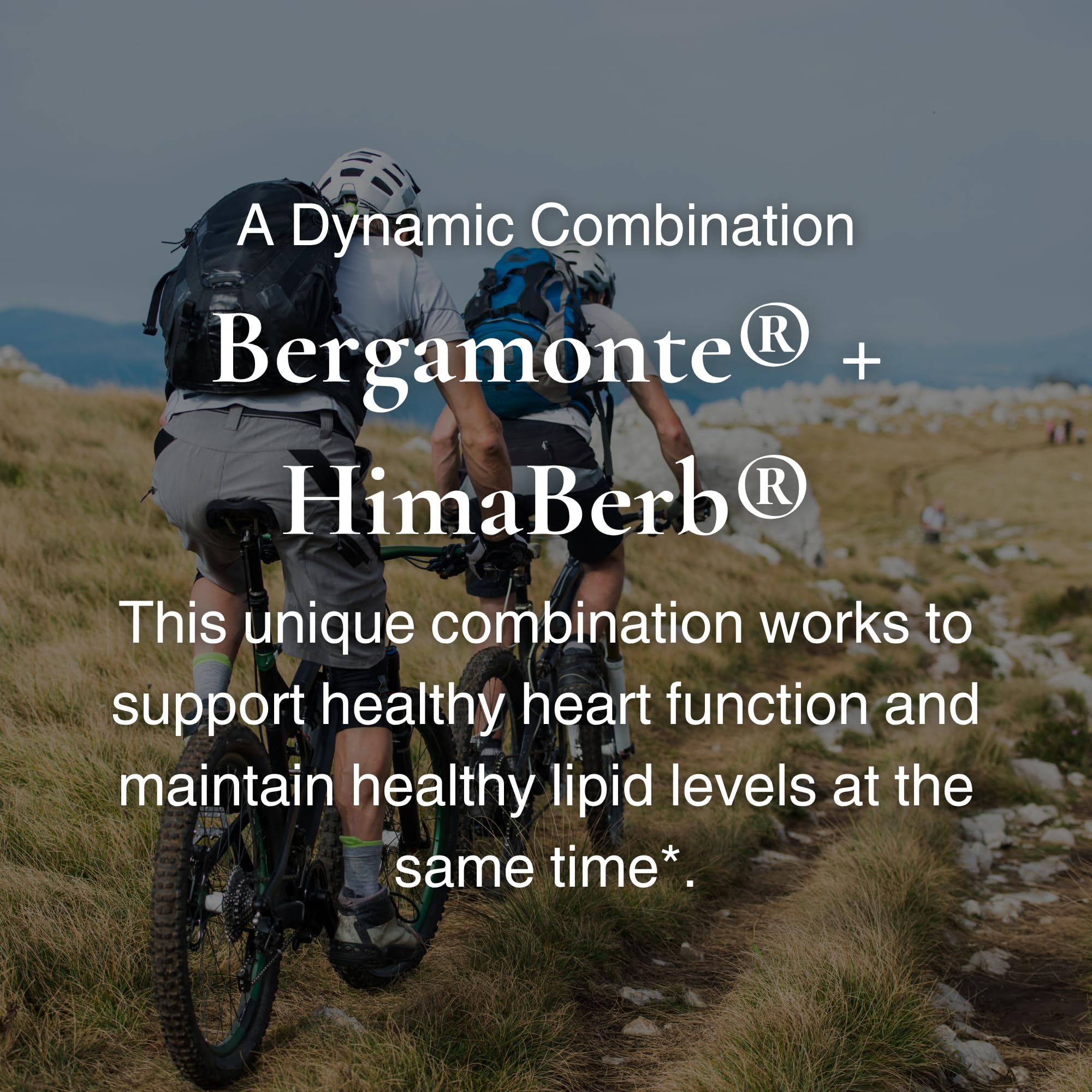 Utzy Naturals Berbercol supplement for vitality