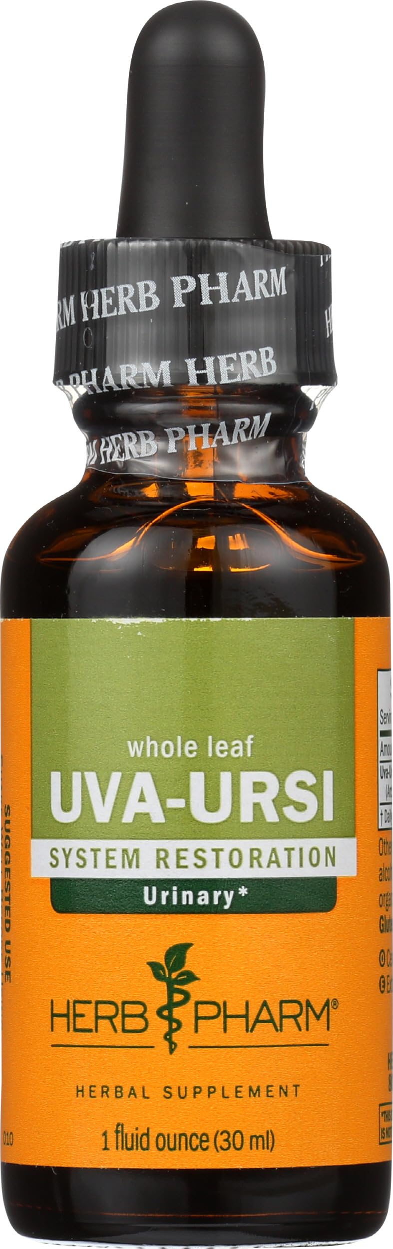 Uva Ursi herbal supplement benefits