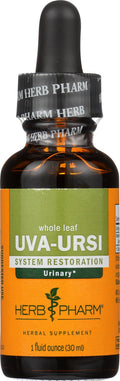 Uva Ursi herbal supplement benefits