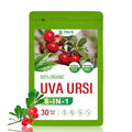 Uva Ursi herbal tea bags