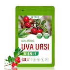 Uva Ursi herbal tea bags